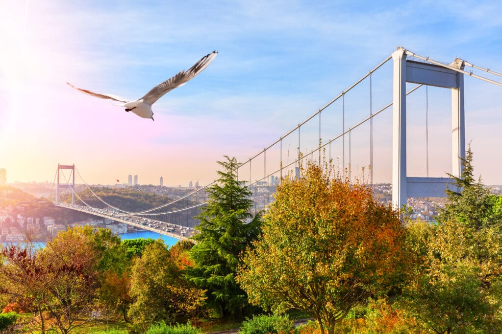 Istanbul London Private Jet Charter - MIRA Özel Jet Kiralama